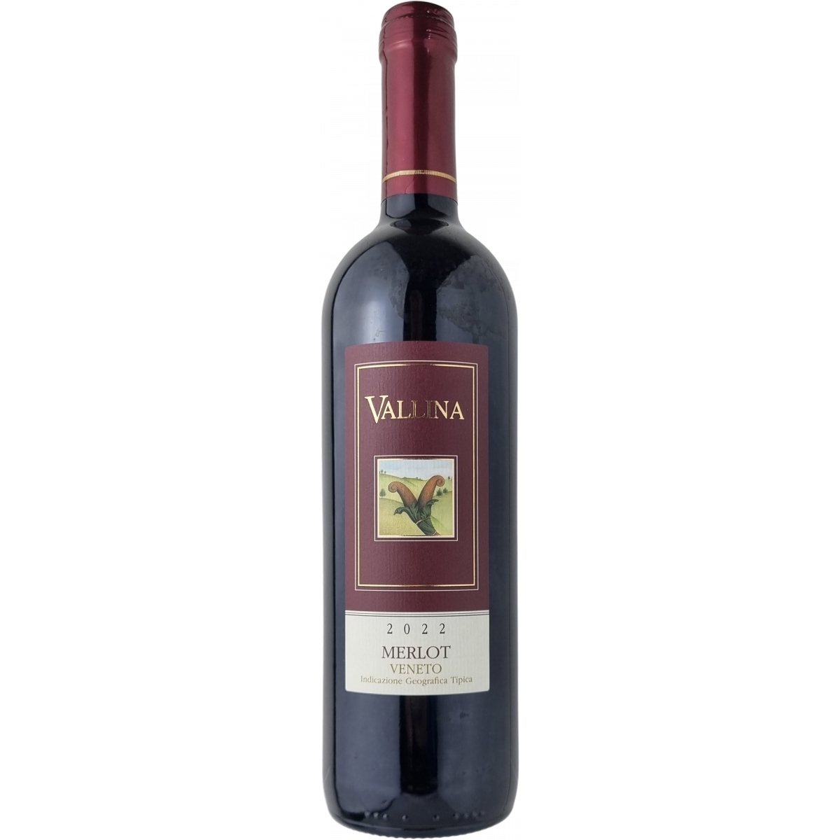 Vallina Merlot del Veneto IGP - online kaufen | JakobGerhardt.de